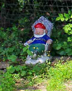 Essex Freemason’s 28 years labour of love for gnomes universal